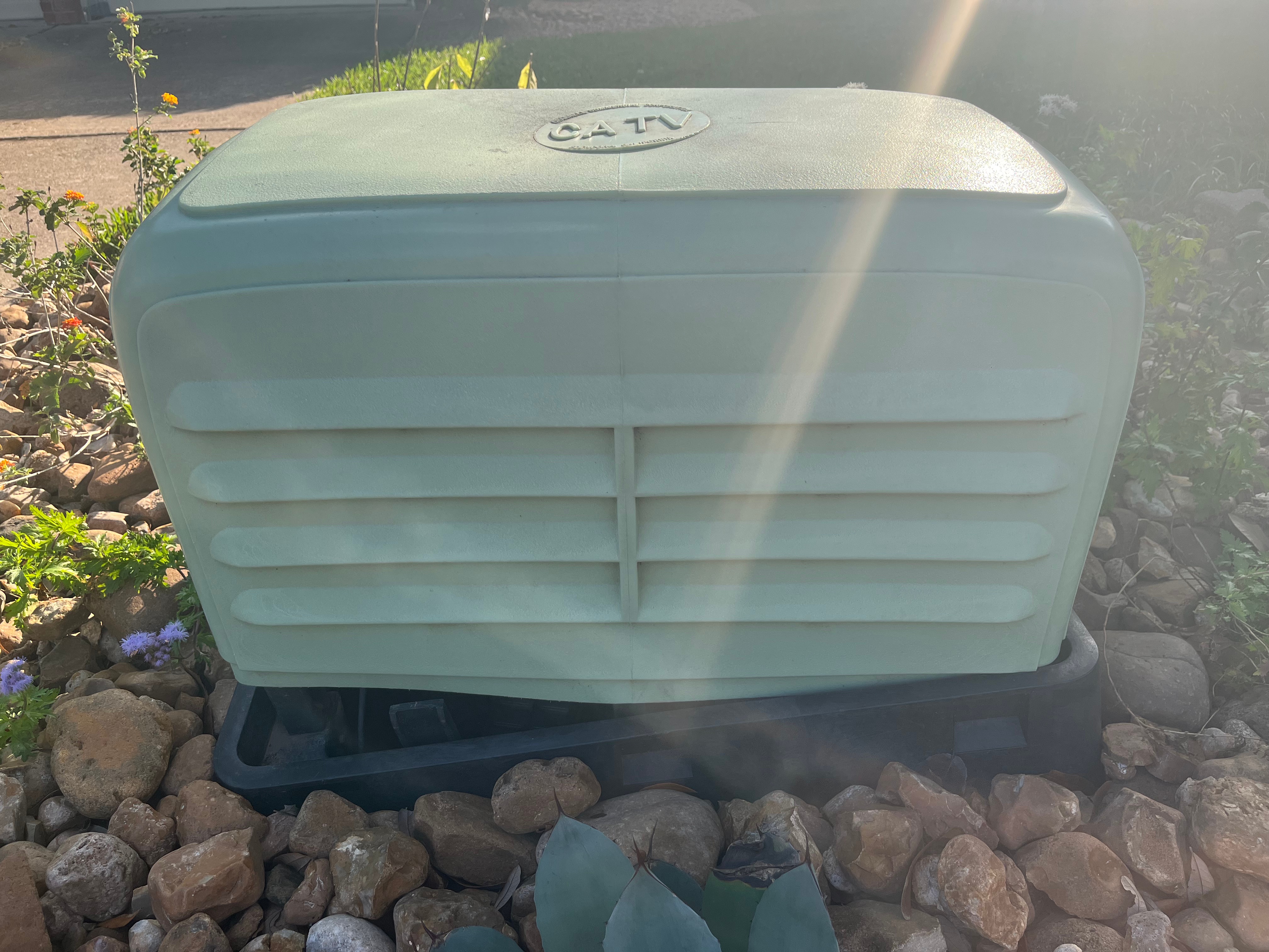 The Scary Scary Cable Box, Plus Recommended Reading of 2025 – Elizabeth ...